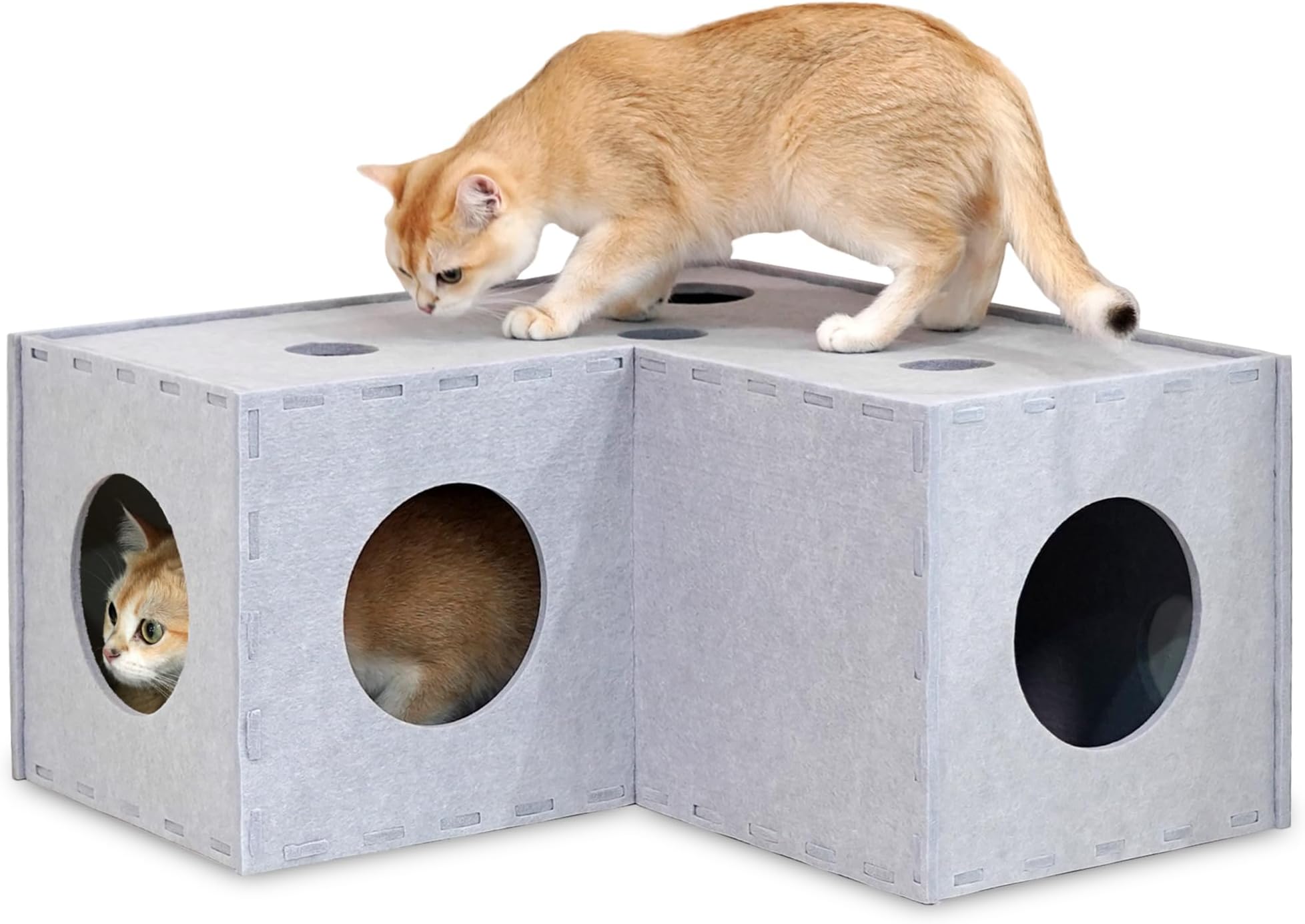Amazon.com: PETKARAY Cat Tunnel, Original Cat Hideaway Cave for Indoor ...