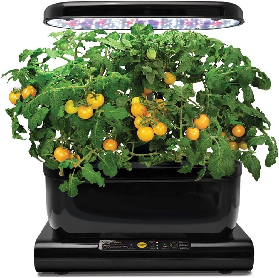 AeroGarden Cherry Tomato Seed Pod Kit - Golden Harvest in Nepal at NPR ...