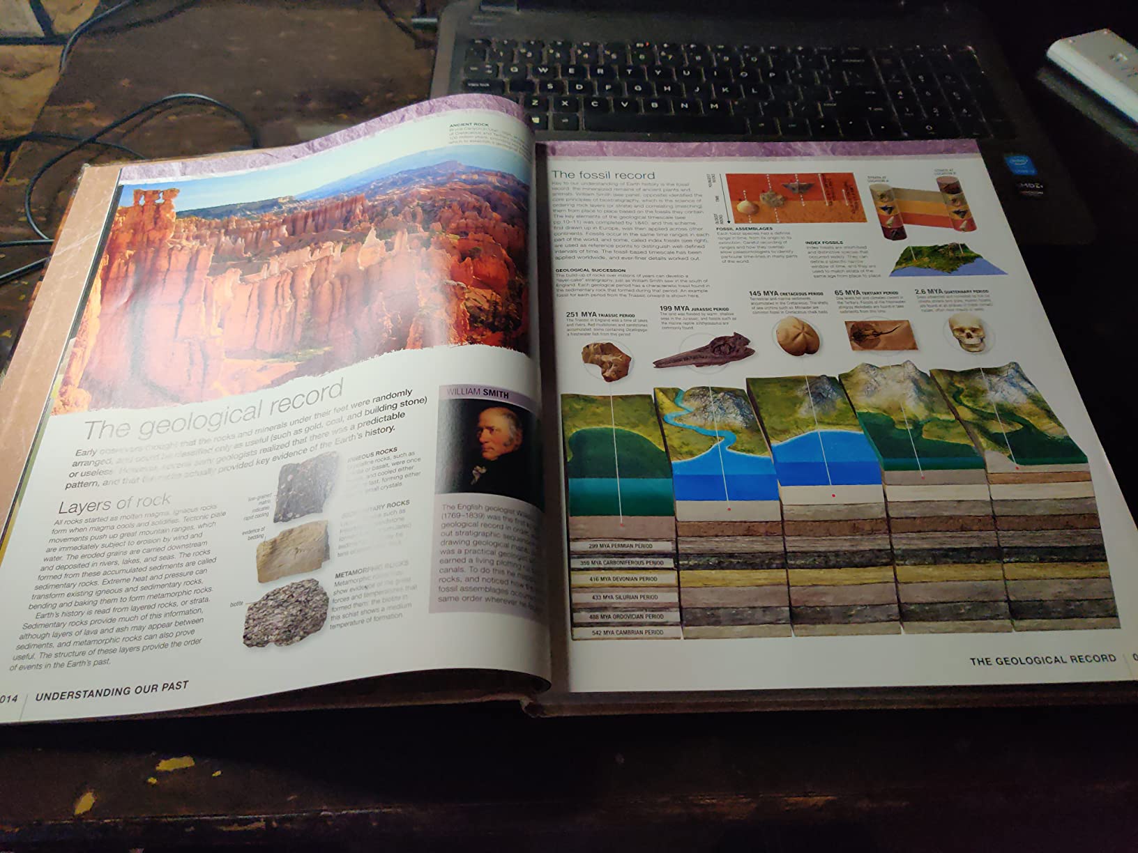 Evolution: The Human Story : Roberts, Dr Alice: Amazon.in: Books