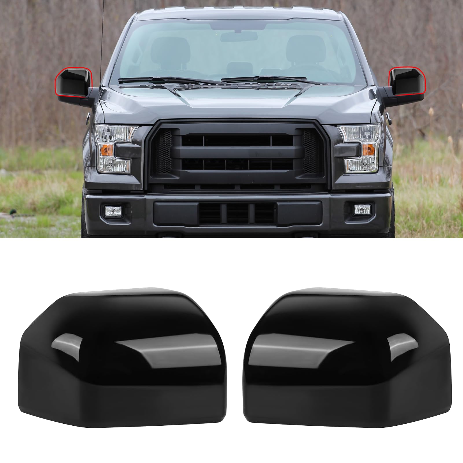 Amazon.com: Moonlinks Compatible with 2015-2020 Ford F150 Side Mirror ...