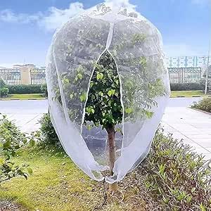 Amazon.com: Mzdkjzl 2 Packs 8 X 8 Ft Anti Bird Netting for Garden,Fruit Tree Bushes Protection ...