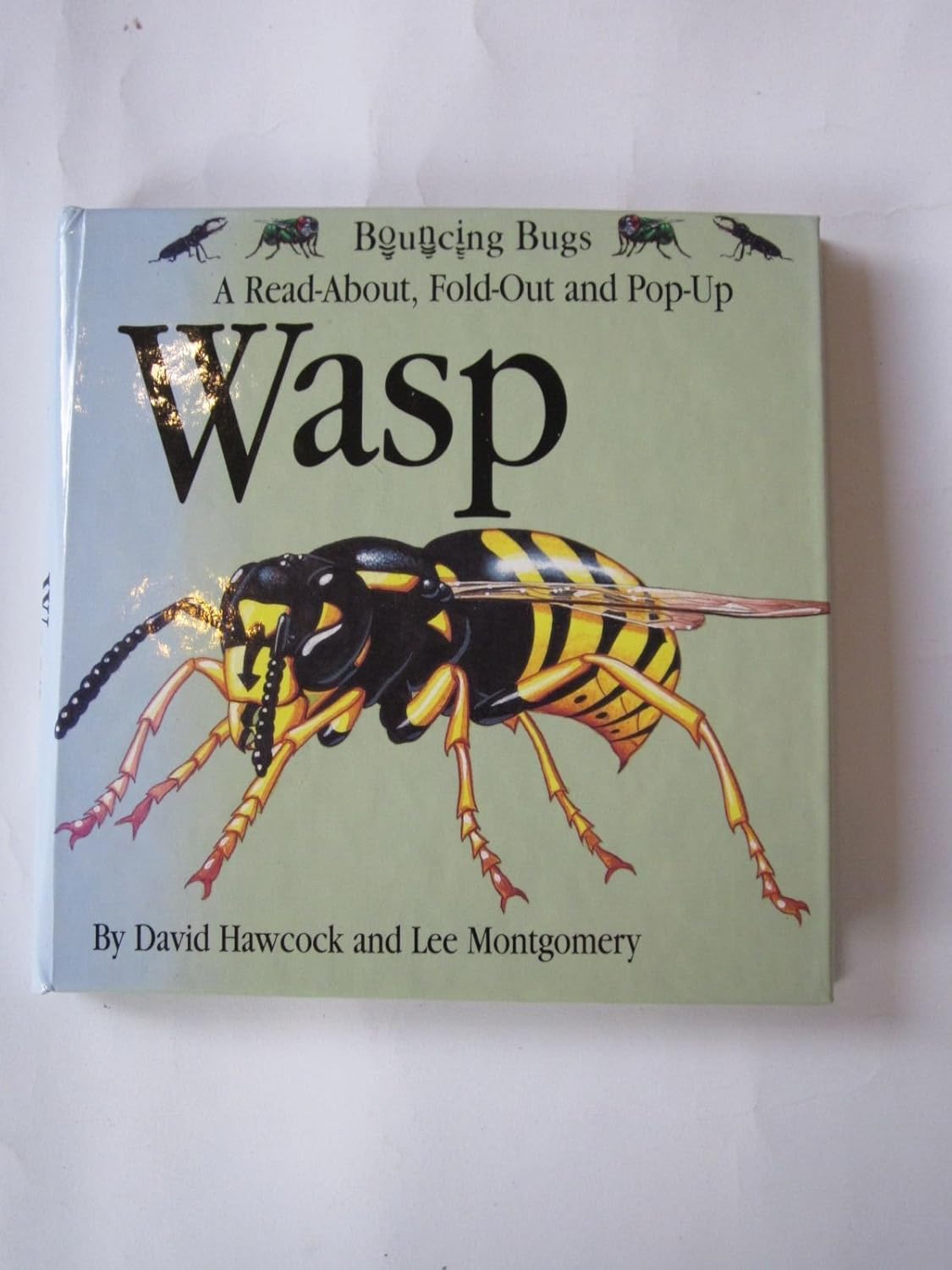 Amazon | Wasp: Bouncing Bugs | Hawcock, David, Montgomery, Lee ...