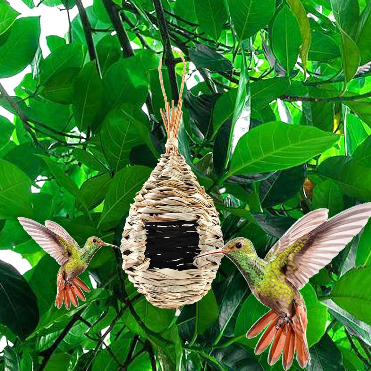 Snapklik.com : TIHOOD 4PCS 9.2 X 4 Inches Hand Woven Hummingbird House