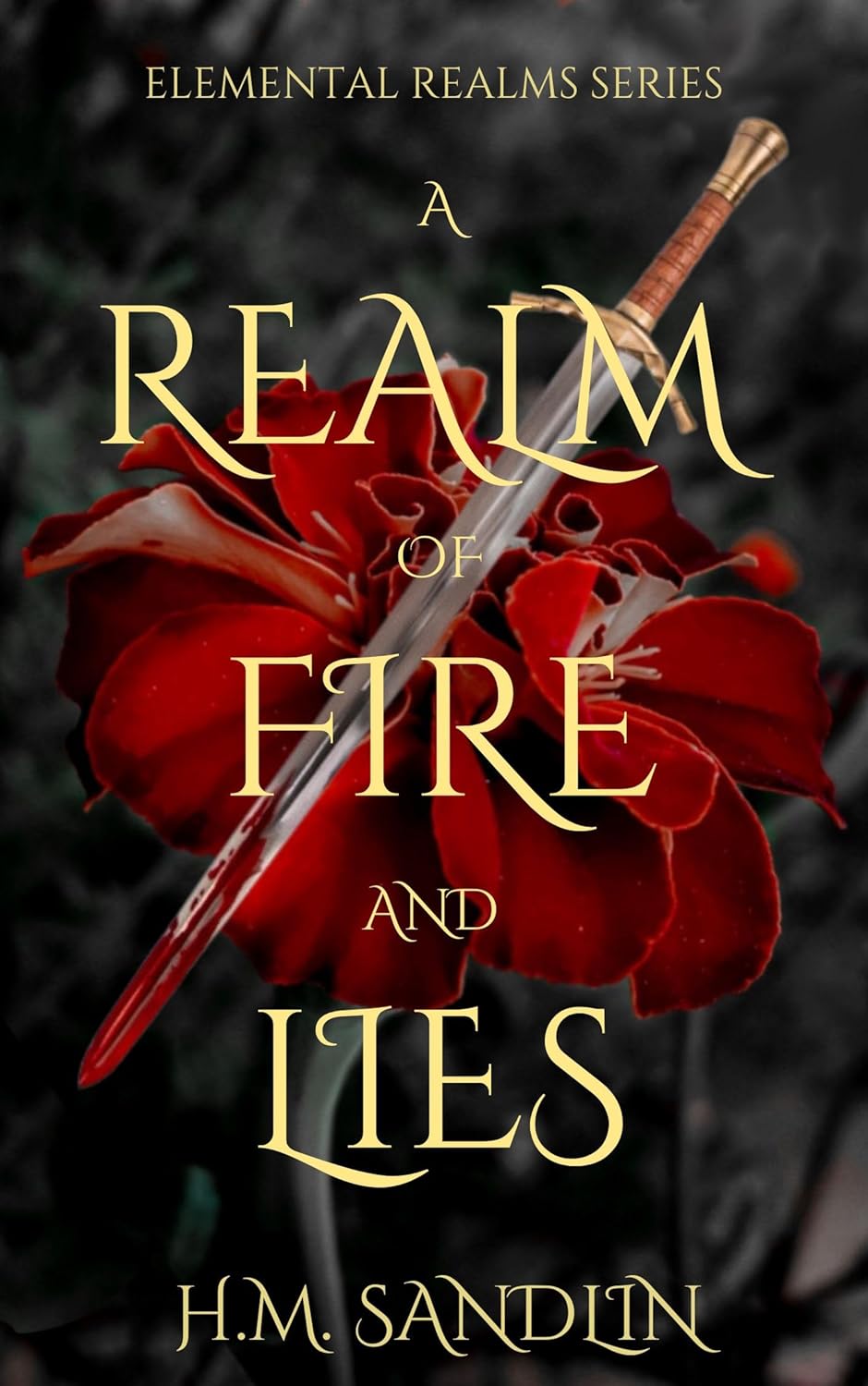 Amazon.com: A Realm Of Fire And Lies: An epic fantasy adventure ...