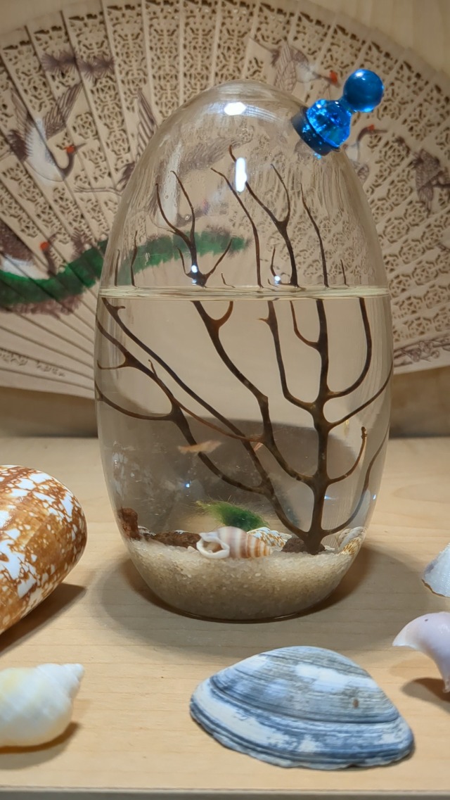 Shrimp With Glass Globe