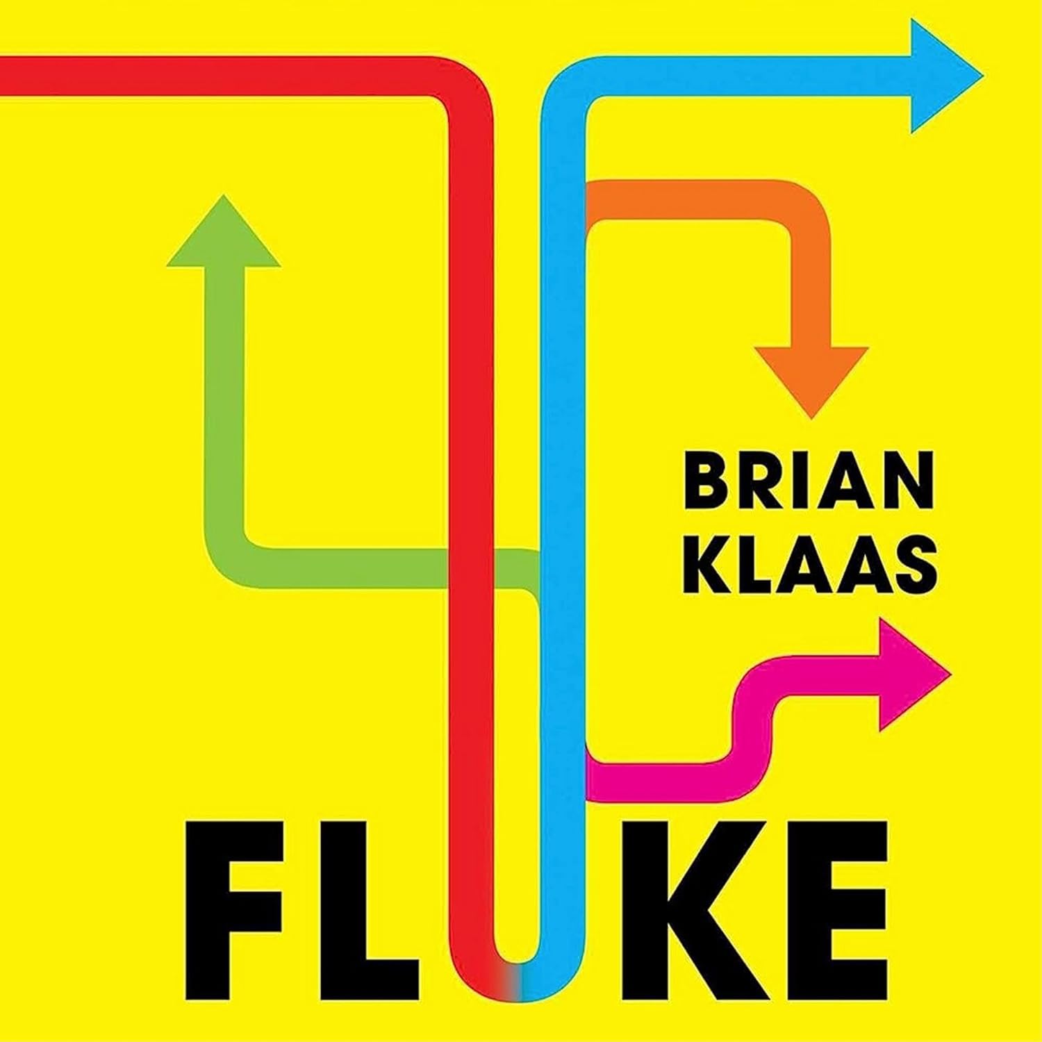 Amazon.com: Fluke: Chance, Chaos, and Why Everything We Do Matters ...