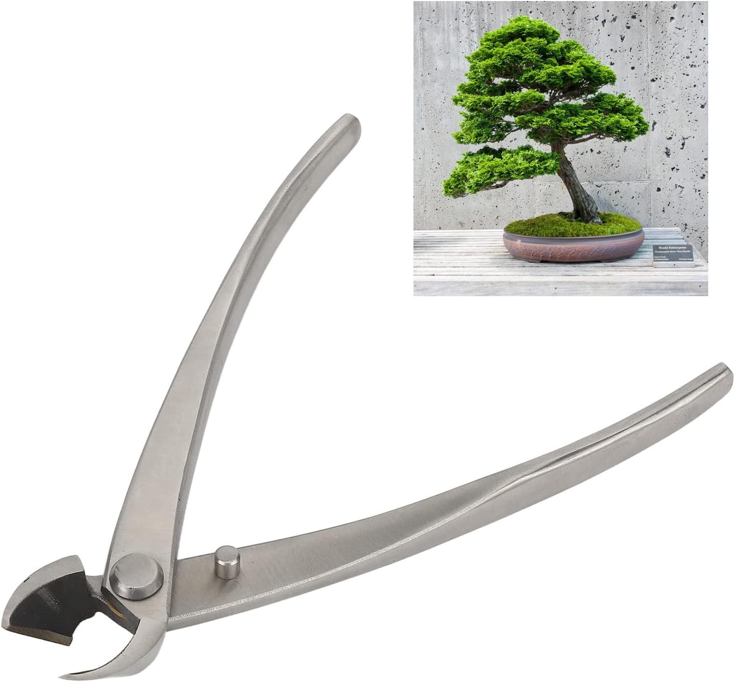 Amazon.com: vouiu 8inch Concave Cutter Bonsai Tools : Patio, Lawn & Garden