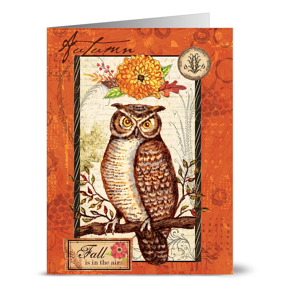 Amazon.com : Note Card Cafe Fall Cards with Kraft Envelopes | 24 Pack ...