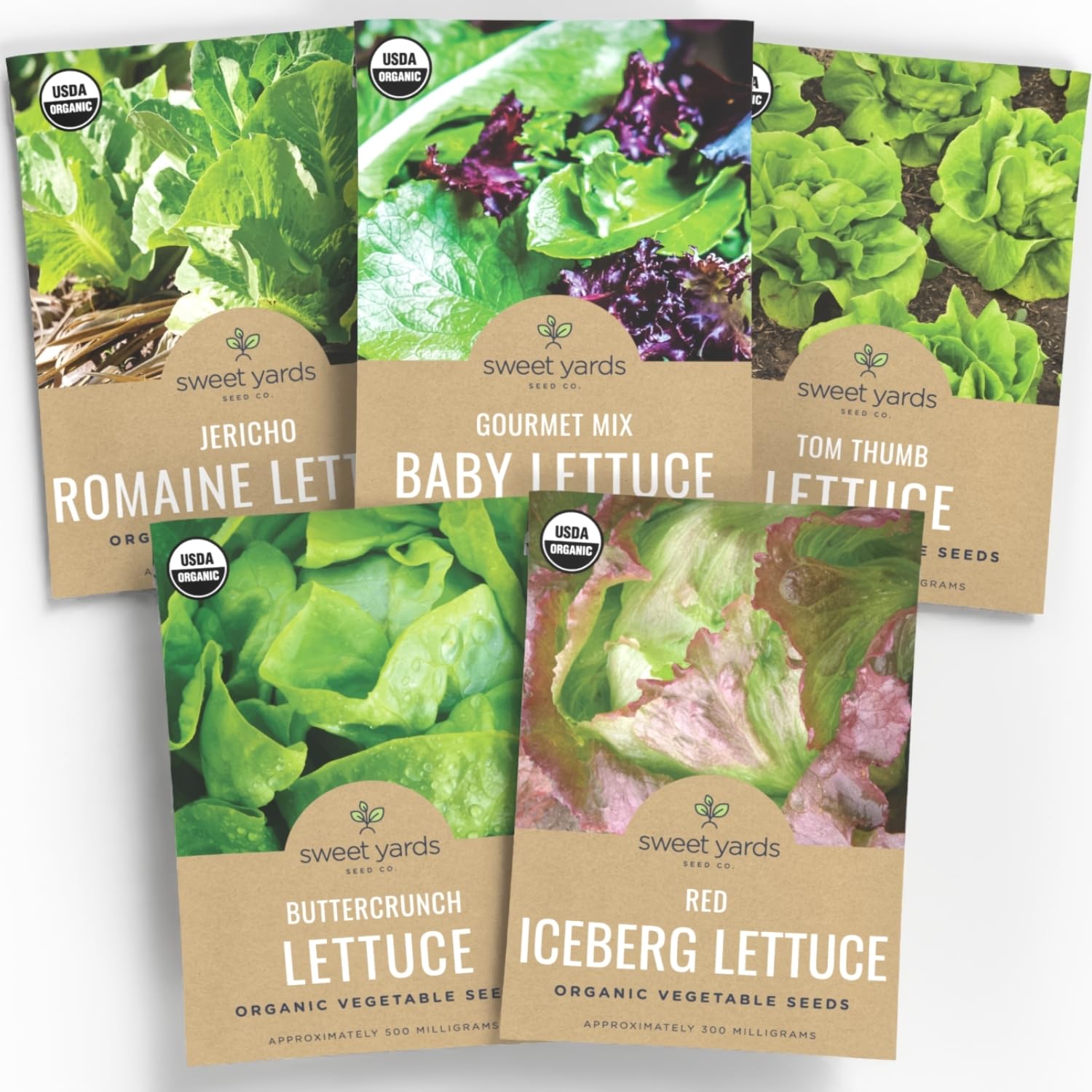 Amazon.com : Organic Lettuce & Greens Seeds Variety Pack - 5 Individual ...