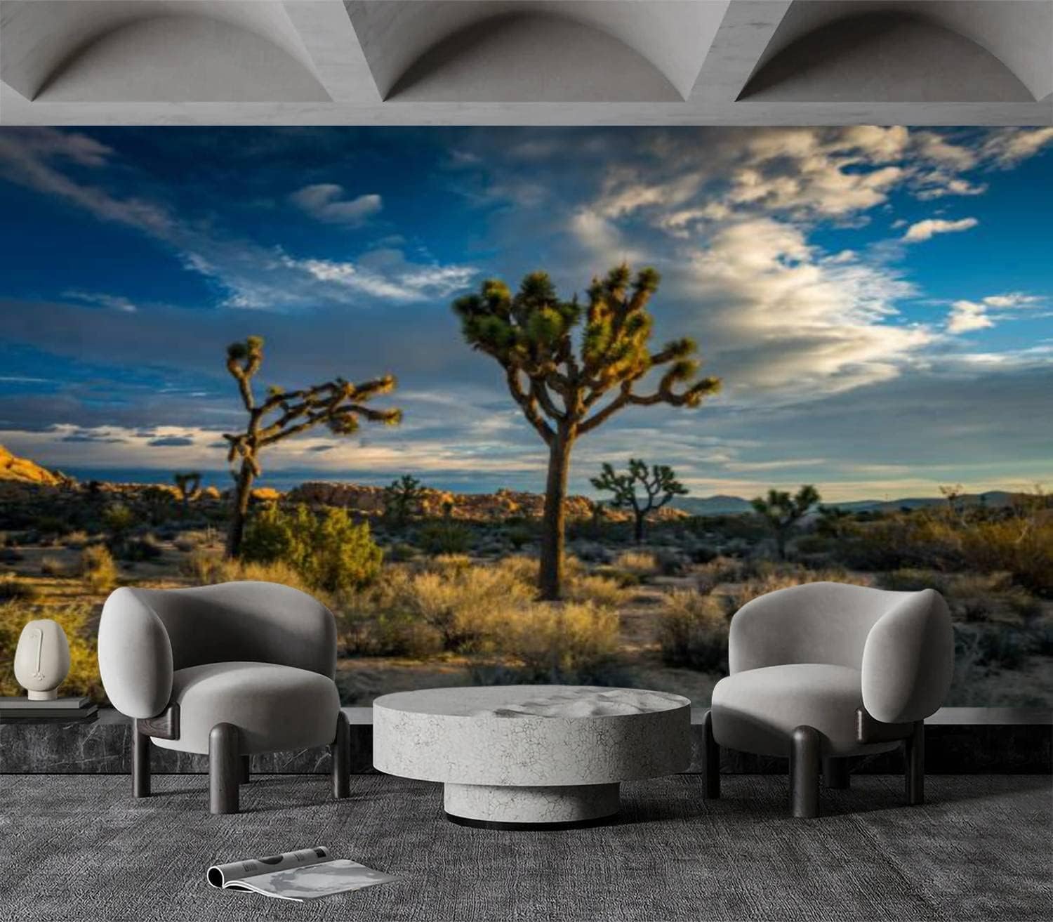 Amazon.com: Vintage Joshua Tree National Park California west Coast ...