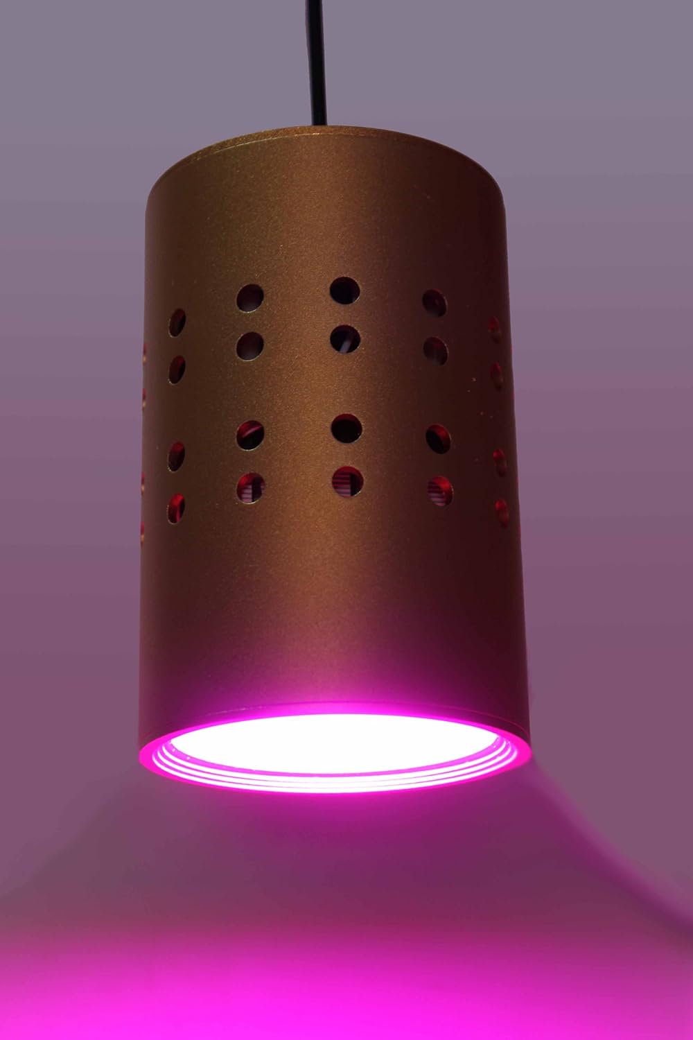 Amazon.com: LED Comet - Magenta 150 Grow Light : Patio, Lawn & Garden