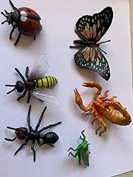 Amazon.com: SIENON Realistic Insect Toys Figures-12Pcs Large Plastic ...