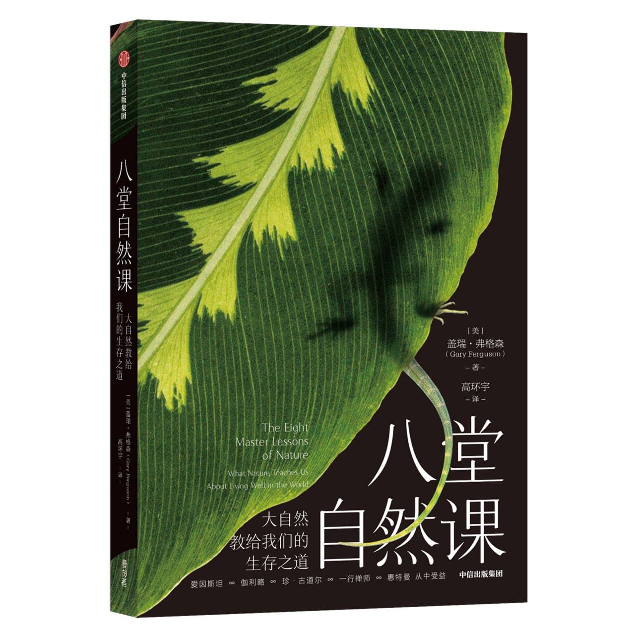 Amazon.com: The Eight Master Lessons of Nature: What Nature Teaches Us ...