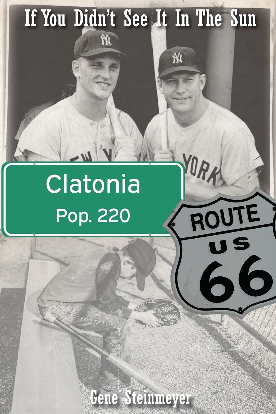 If You Didn't See It In The Sun: Steinmeyer, Gene L: 9781721888047 ...