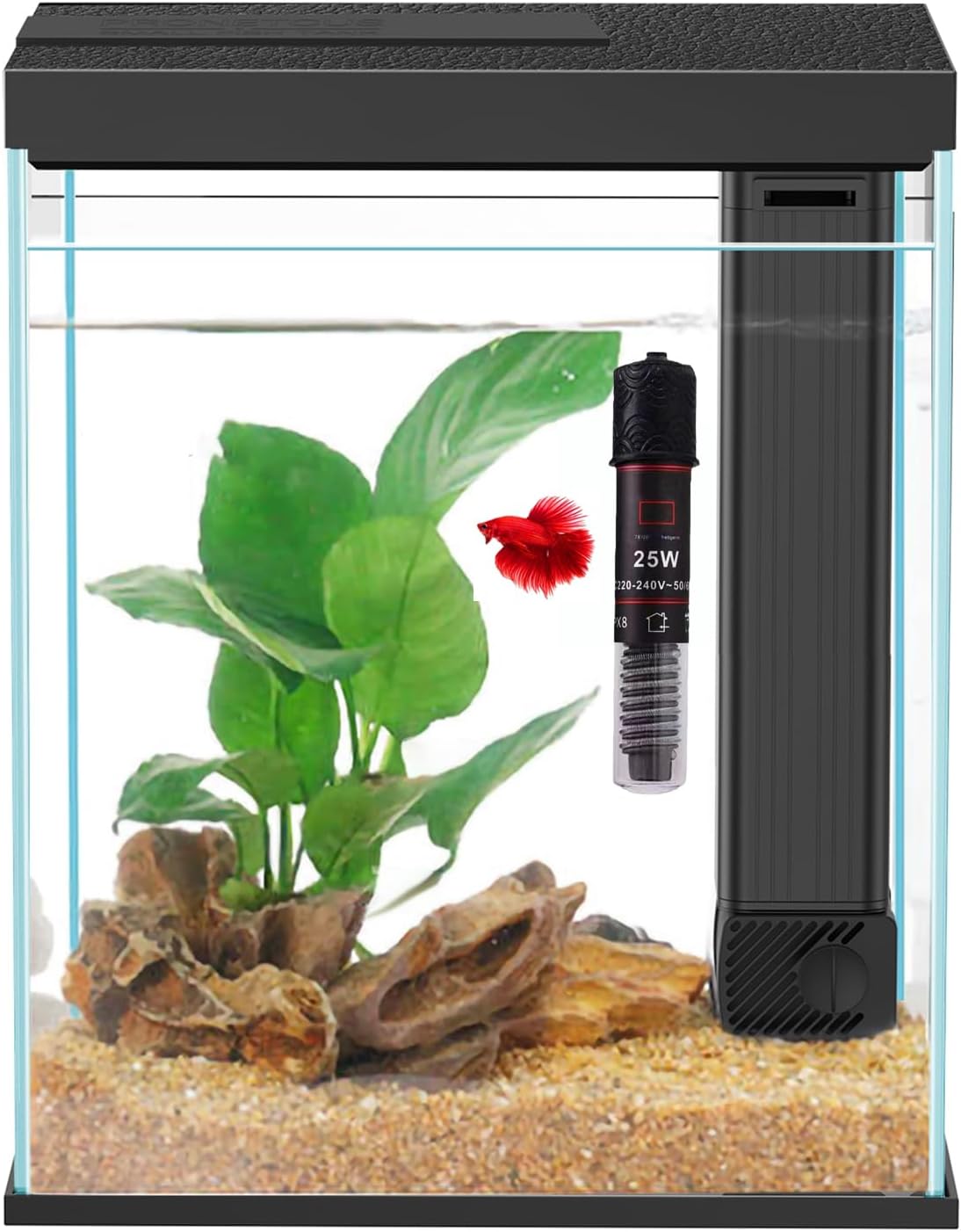 Amazon.com : 2 Gallon Glass Small Fish Tank Starter Kits - Betta Fish ...