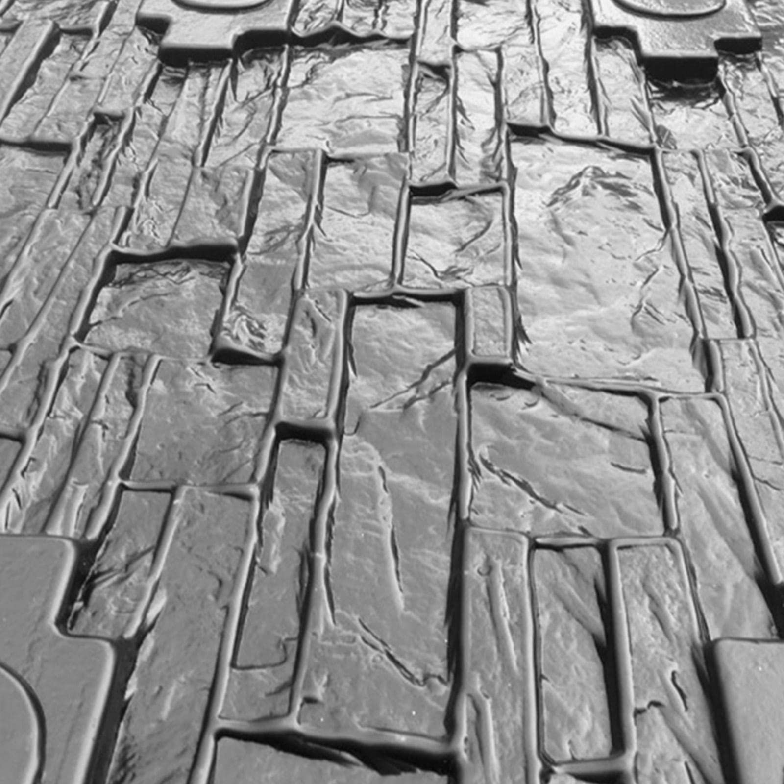 Concrete Mold Wall Tree Can Mold Grow On Concrete? 5 Ways To Prevent