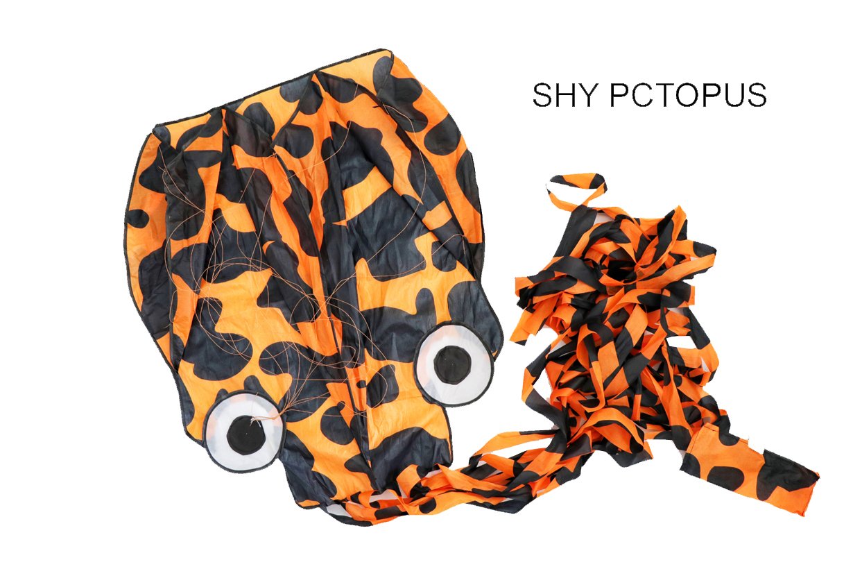 Snapklik.com : Kizh Kite Octopus Large Frameless Soft Parafoil Kites ...