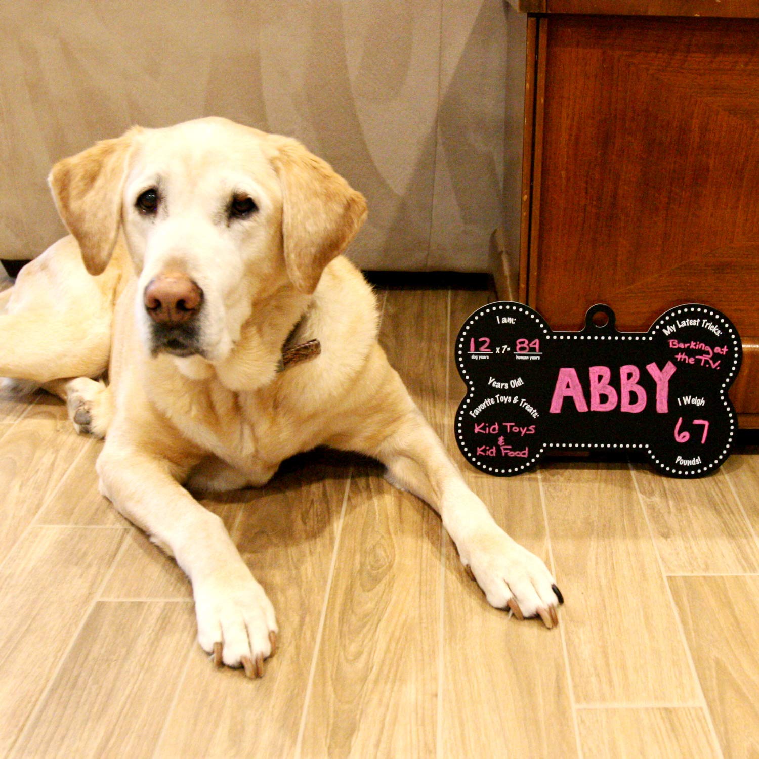 Dog Chalkboard Sign All You Need Is Love And A Dog Sign, I Love Dogs,