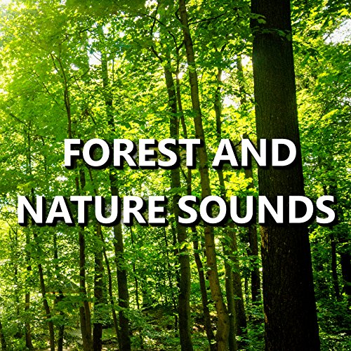Amazon.com: Forest and Nature Sounds : Forest and Nature Sounds ...