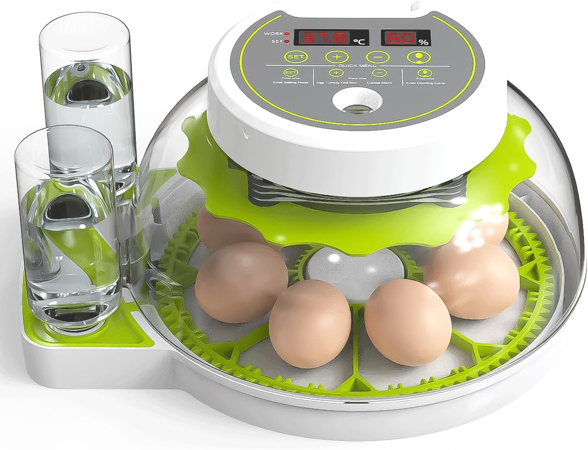 Amazon.com: HOWUXZO Incubators for Hatching Eggs, 8 Egg Incubator with ...
