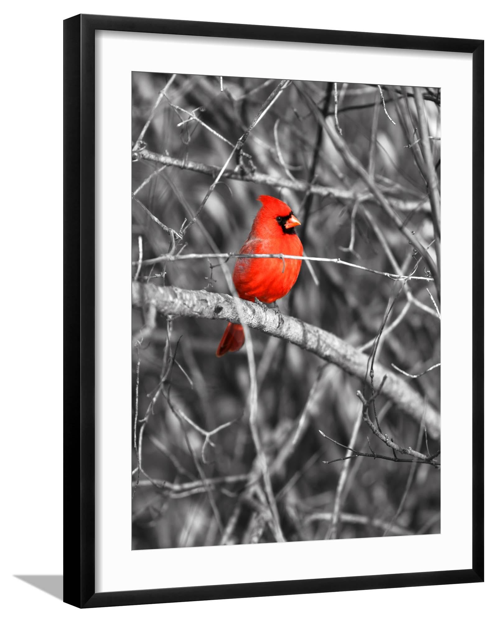 Amazon.com: ART.COM Framed Wall Art Prints Northern Cardinal Bird on ...