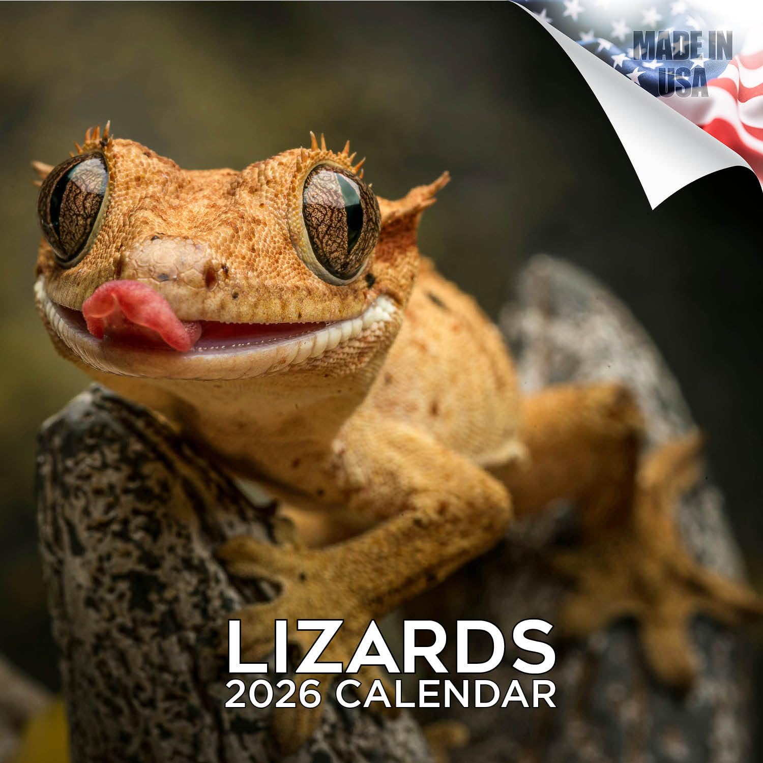 Snapklik.com : 2025 2026 Lizard - Reptile Monthly Wall Calendar, 16 ...