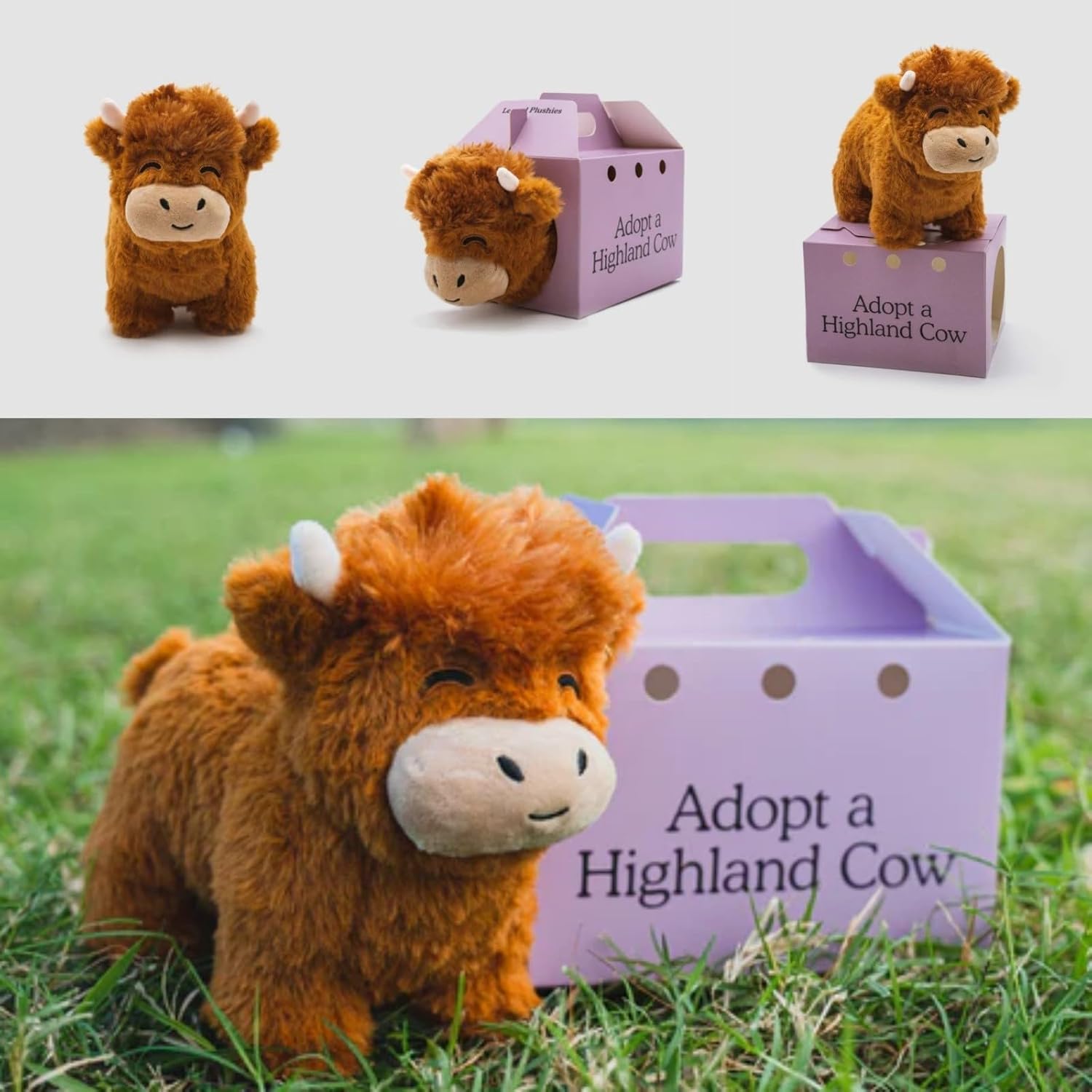 Adopt a Highland Cow Stuffed Animal, Cute Fluffy Scottish Cow Plush Toy ...