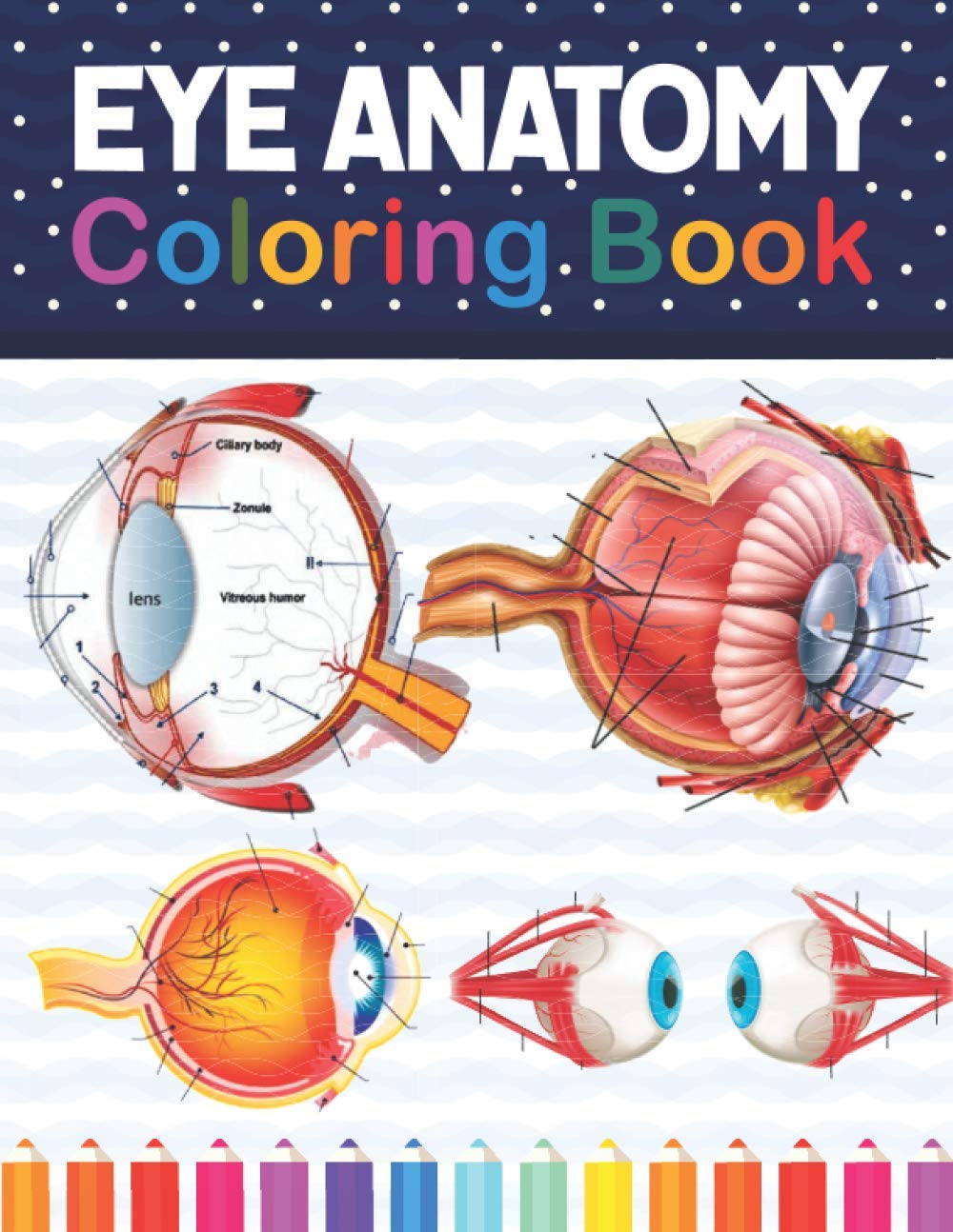 Eye Anatomy Coloring Book Eye Anatomy Coloring Book For Kids ...