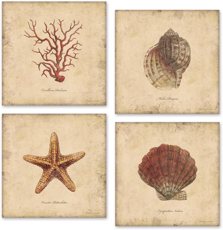 Amazon.com: Pink Petunia Art 4 Earth Tone Coral Reef 8x8 Starfish ...