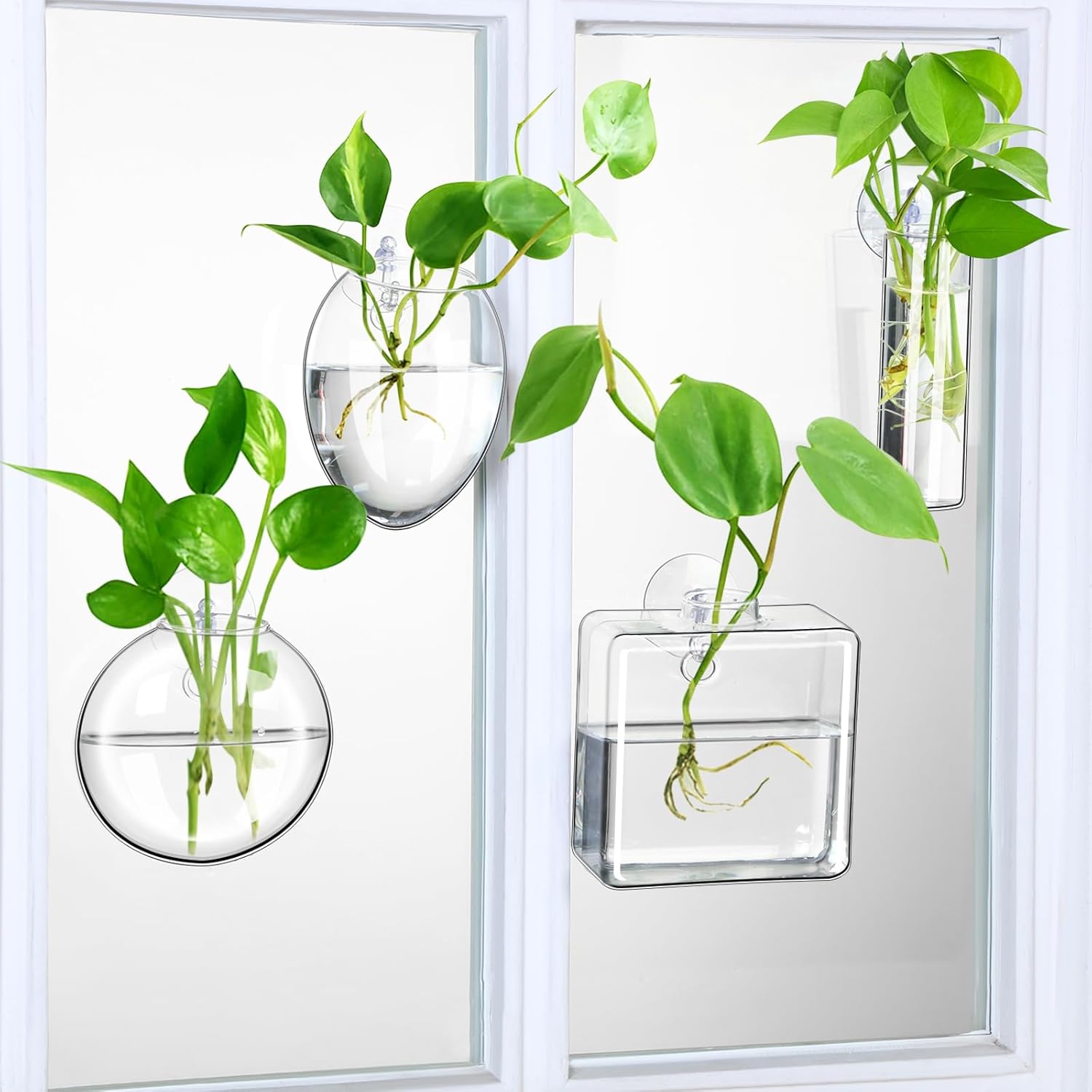 Amazon.com: Baderke 4 Pcs Wall Hanging Planter Wall Window Propagation ...