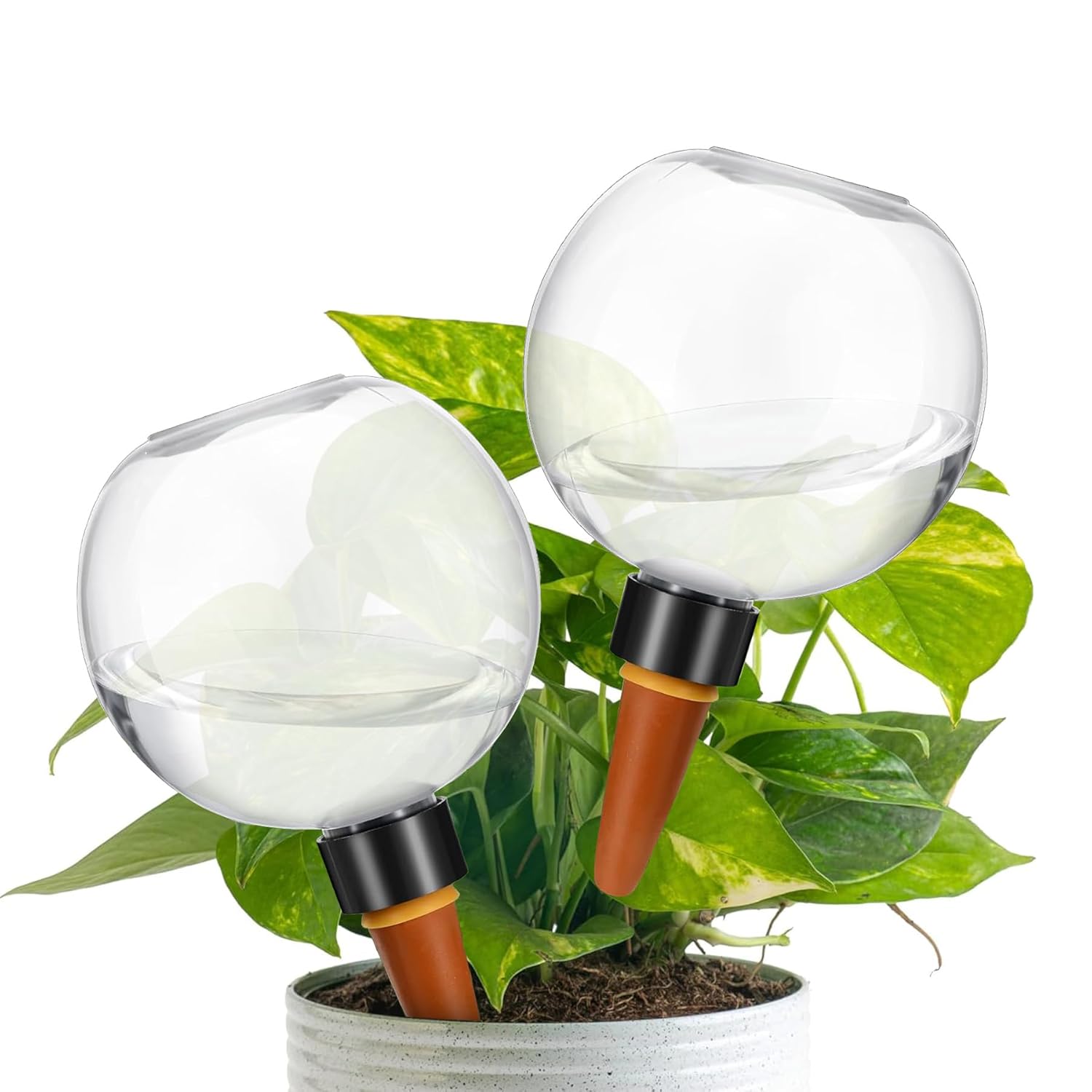 Amazon.com: Self Watering Planter Insert 2pcs Set, Automatic Plant ...