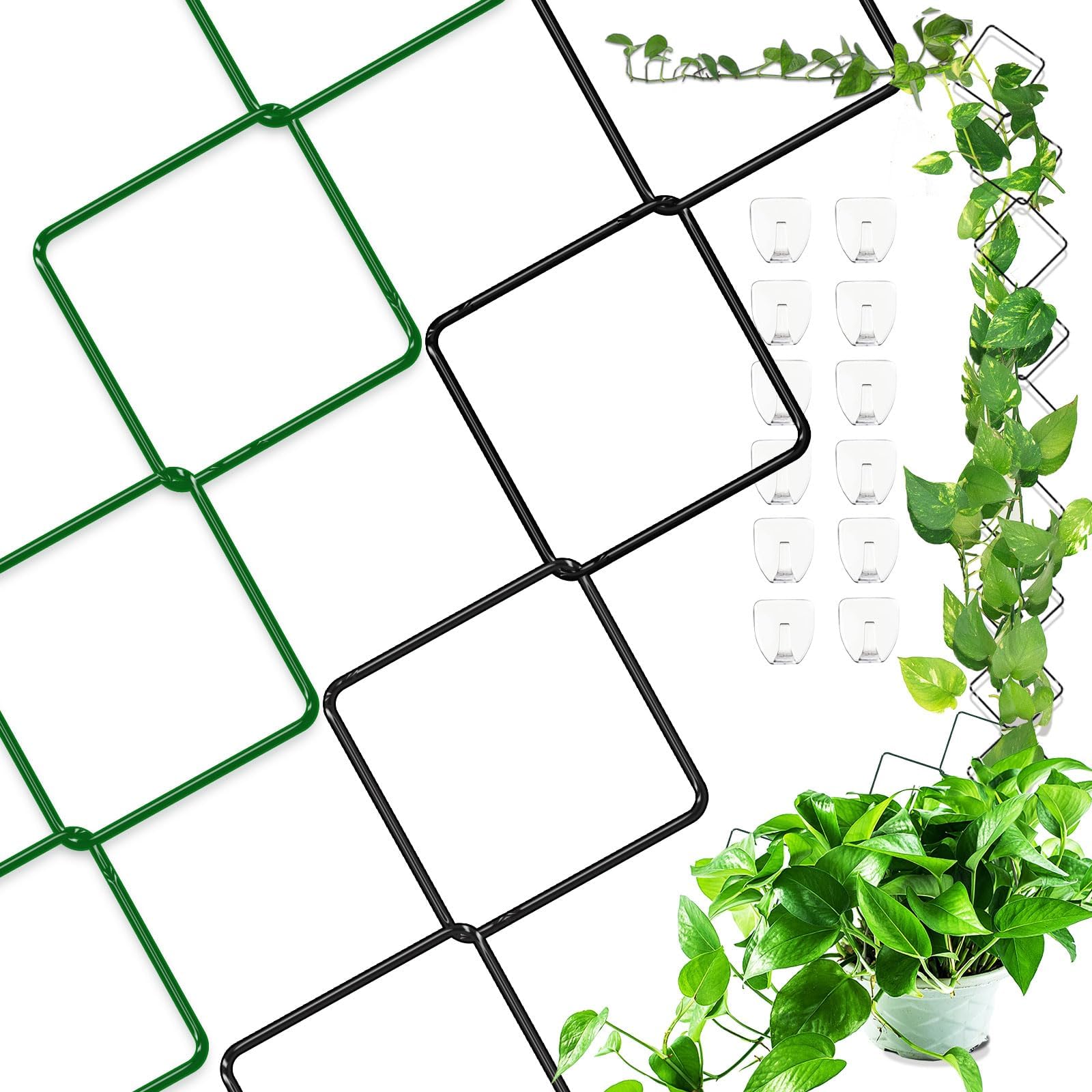 Amazon.com : Chain Trellis for Climbing Plants - Indoor & Outdoor House ...