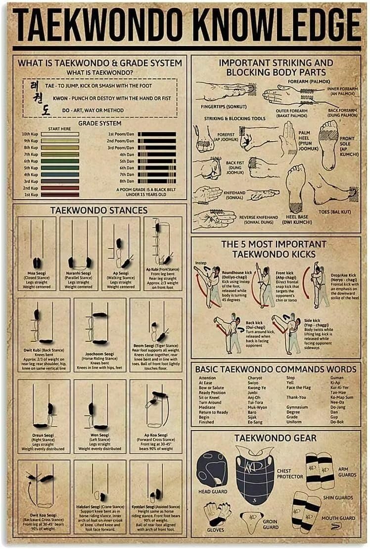 Amazon.com: Taekwondo Metal Tin Signs Taekwondo Knowledge Poster Metal ...