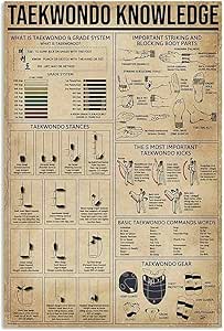 Amazon.com: Taekwondo Metal Tin Signs Taekwondo Knowledge Poster Metal ...