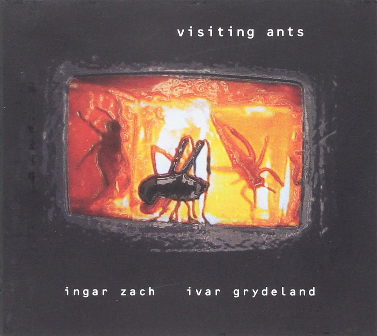 Ingar Zach, Ivar Grydeland : Visiting Ants: Amazon.com.be: CD et Vinyles
