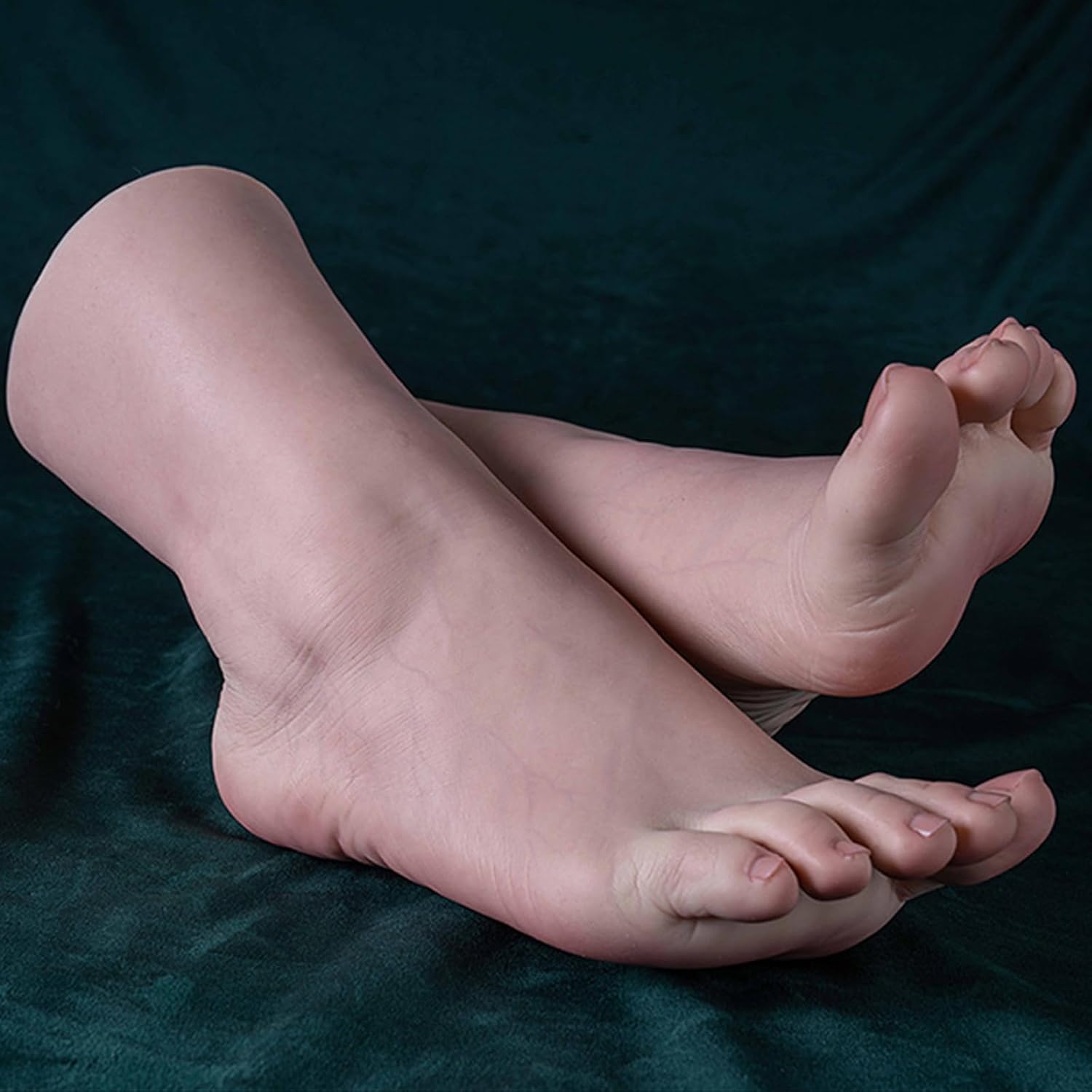 Amazon.com: Realistic Silicone Foot Model with Bones, 10inch Length ...
