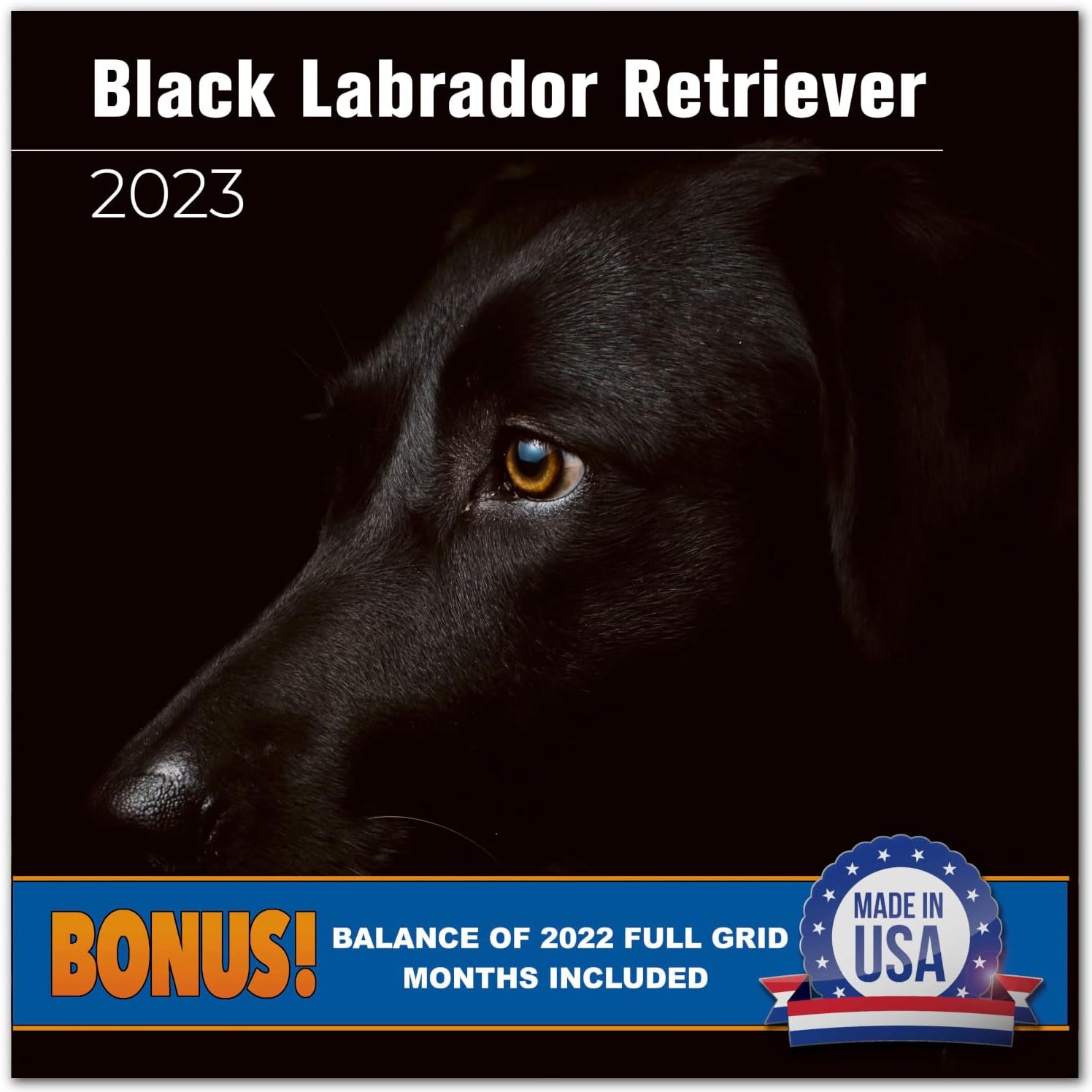 Amazon.com: 2022 2023 Black Labrador Calendar - Dog Breed Monthly Wall ...