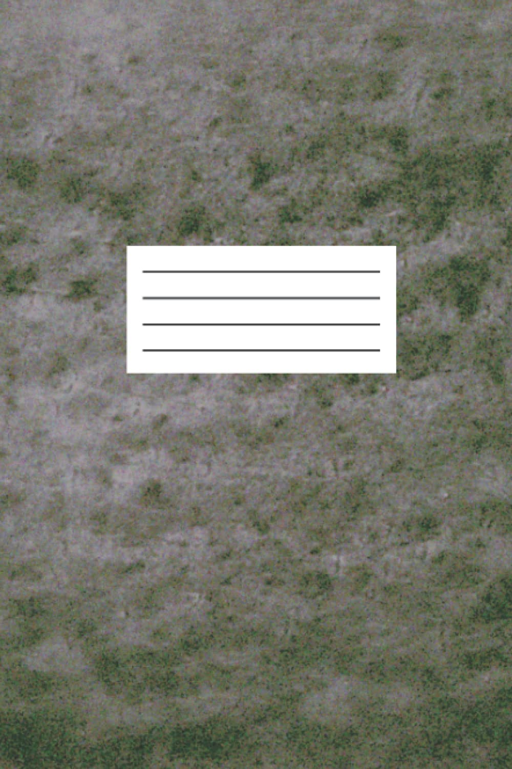 Buy Grounded Theory Memo Book: Memoing and sorting book for Classic ...