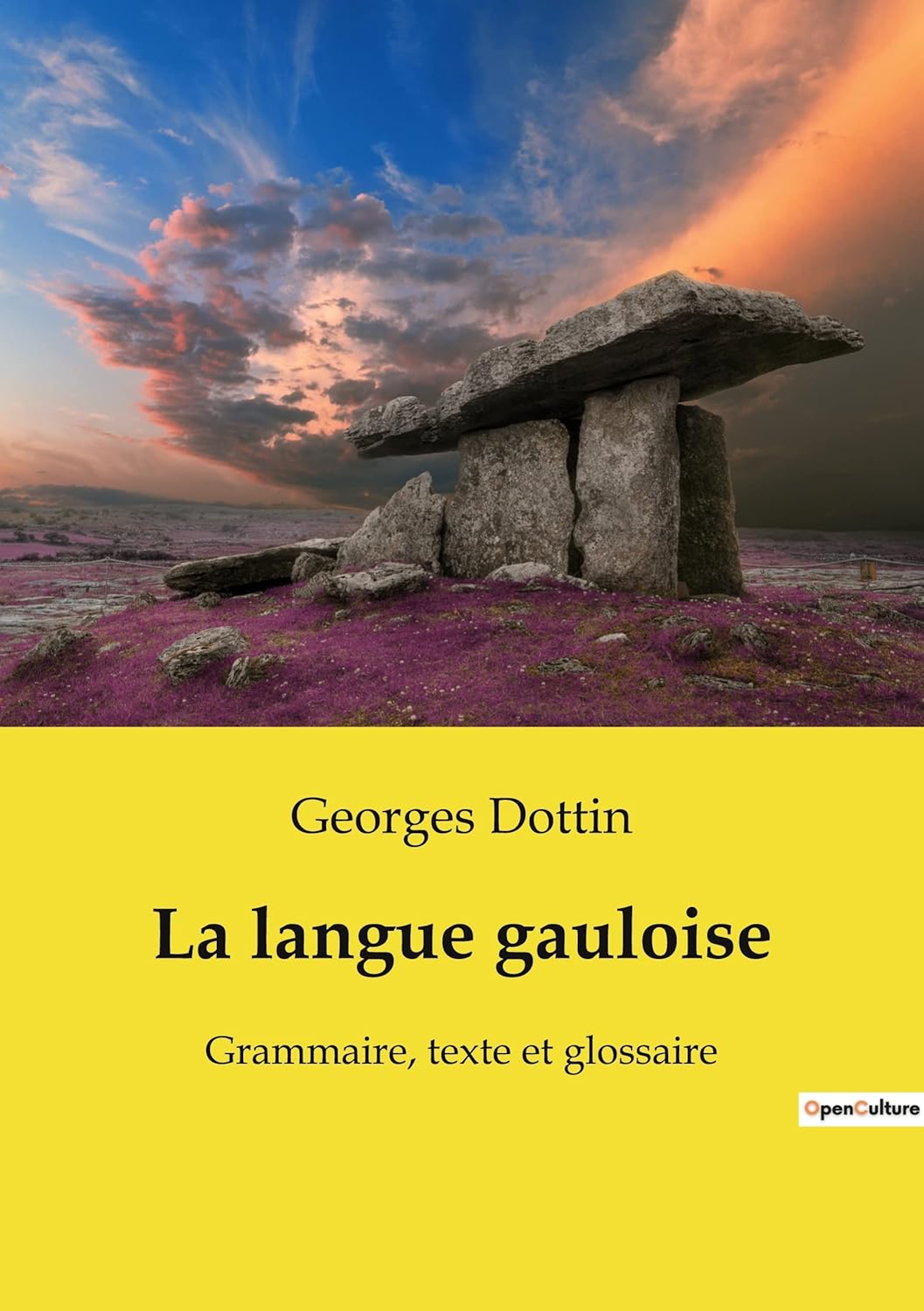 Amazon.fr - La langue gauloise: Grammaire, texte et glossaire - Dottin ...
