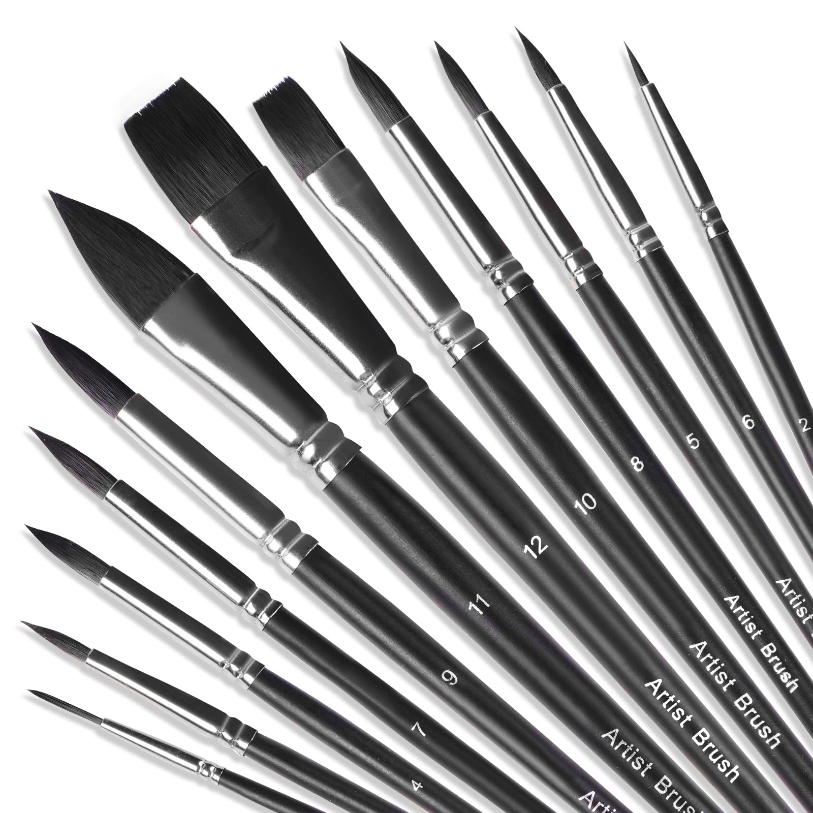 Amazon.com: Watercolor Paint Brush Set,12Pcs Professional Paint Brushes ...