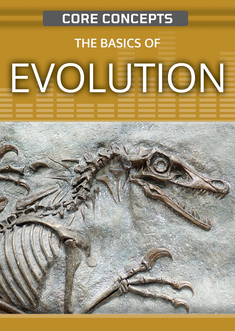 Amazon.com: The Basics of Evolution (Core Concepts): 9781499474480: O ...