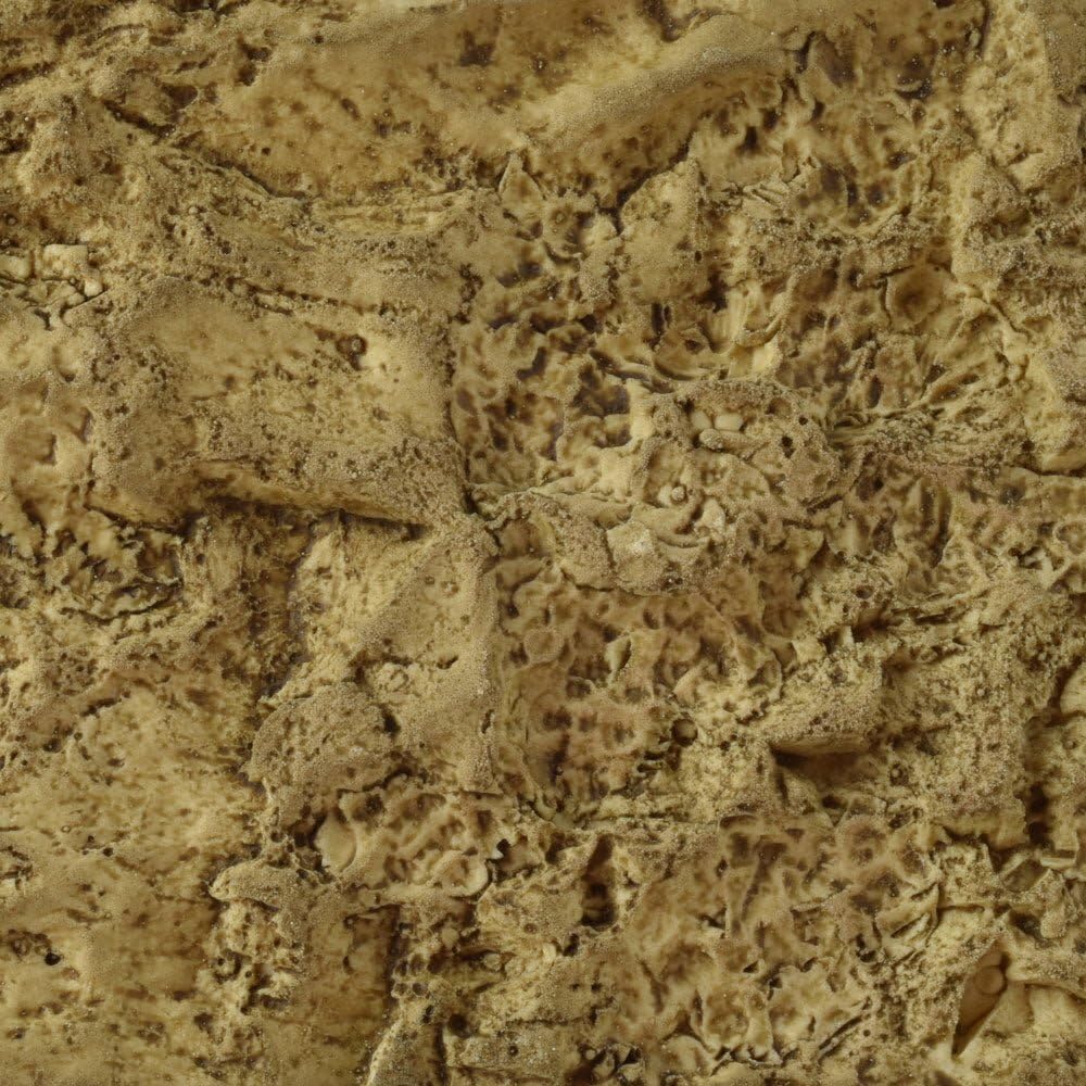 Amazon.com: Chooch Flexible, Pre-weathered, Blasted Rock Limestone Wall ...