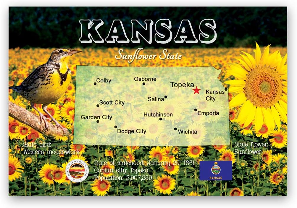 Amazon.com : KANSAS MAP postcard set of 20 identical postcards. KS ...