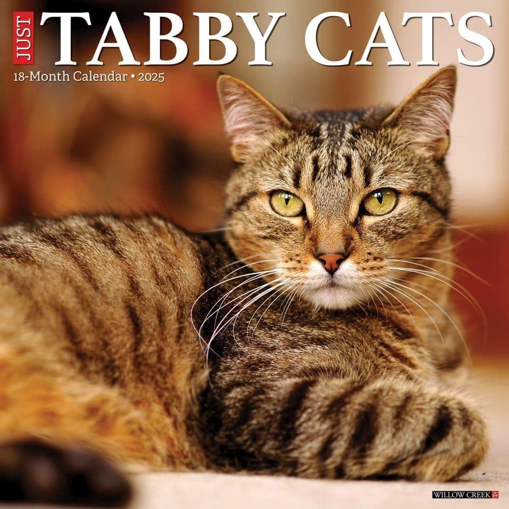 Amazon.com: Just Tabby Cats 2025 12" x 12" Wall Calendar : Willow Creek ...