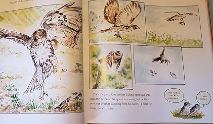 Robins!: How They Grow Up: Christelow, Eileen, Christelow, Eileen ...