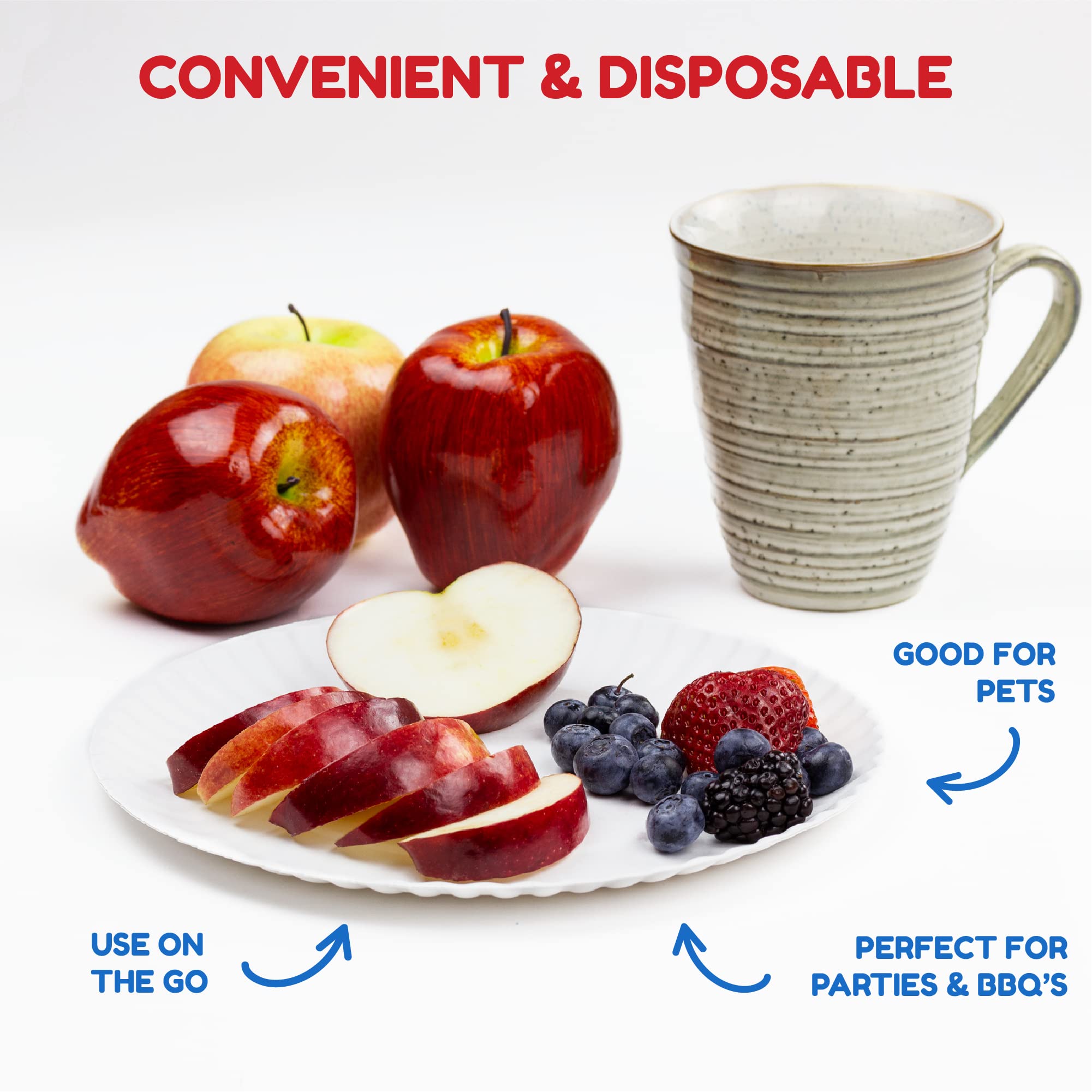 Hygloss Products Paper Plates - Uncoated White Plate - Use for Foodware ...