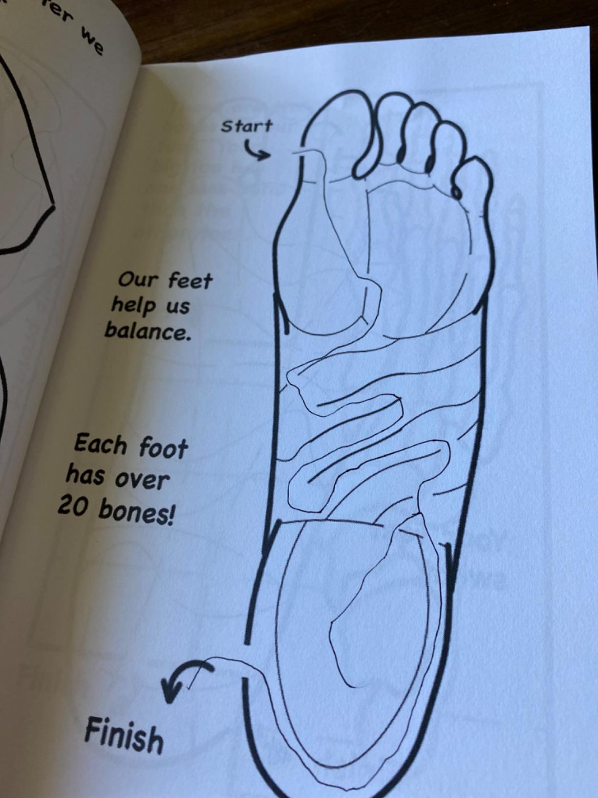 A-MAZE-ING Body: Travel mazes ages 4-8: Warrington, Dr Steven J ...