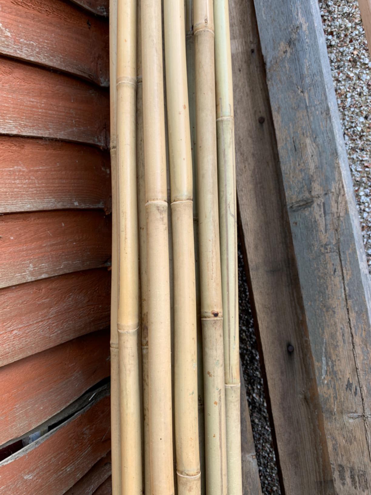 Bamboo Canes For Gardens/Plant Support | 3m | 24-26mm | Pack of 20 ...