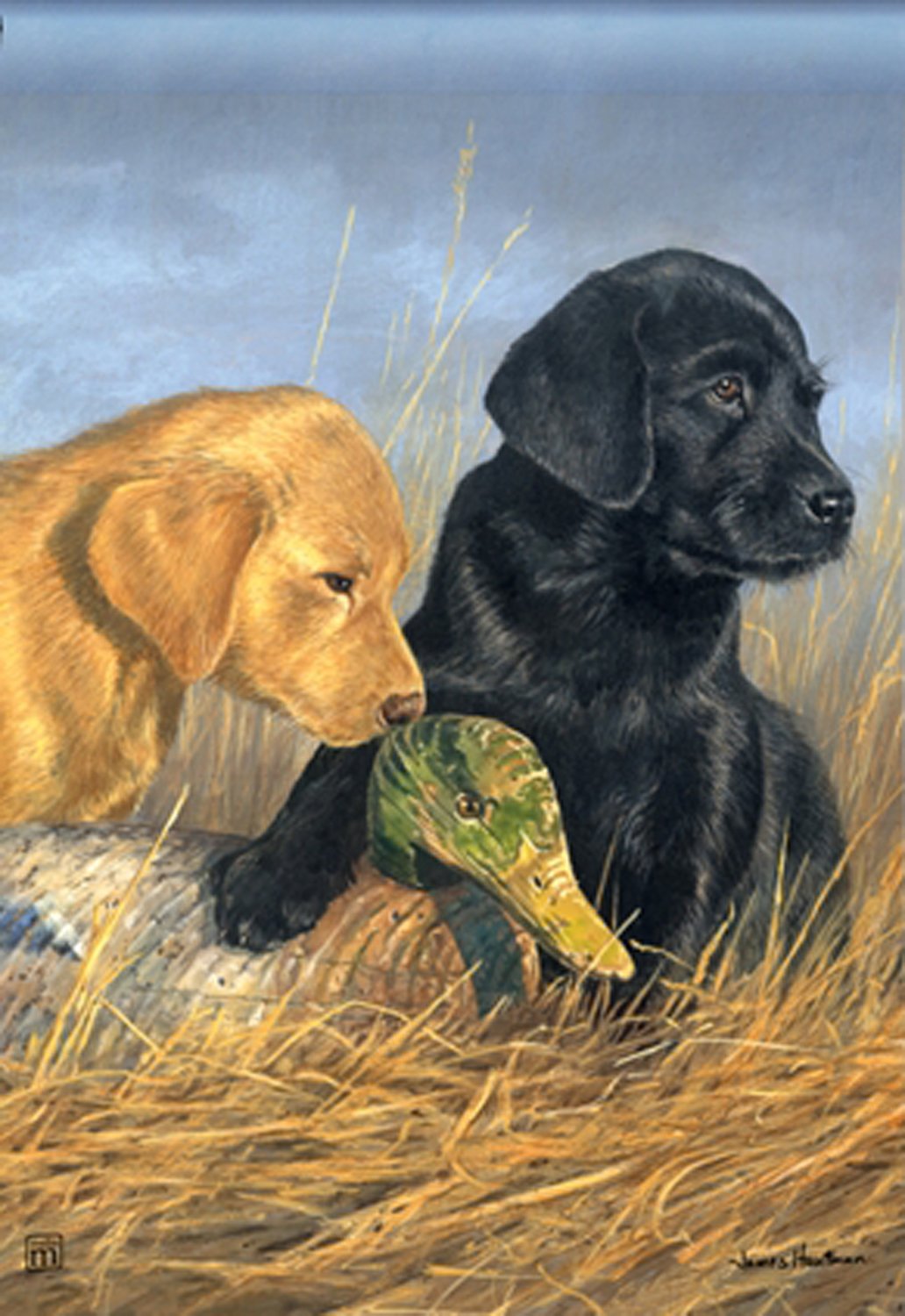 Canard Labrador Jaune
