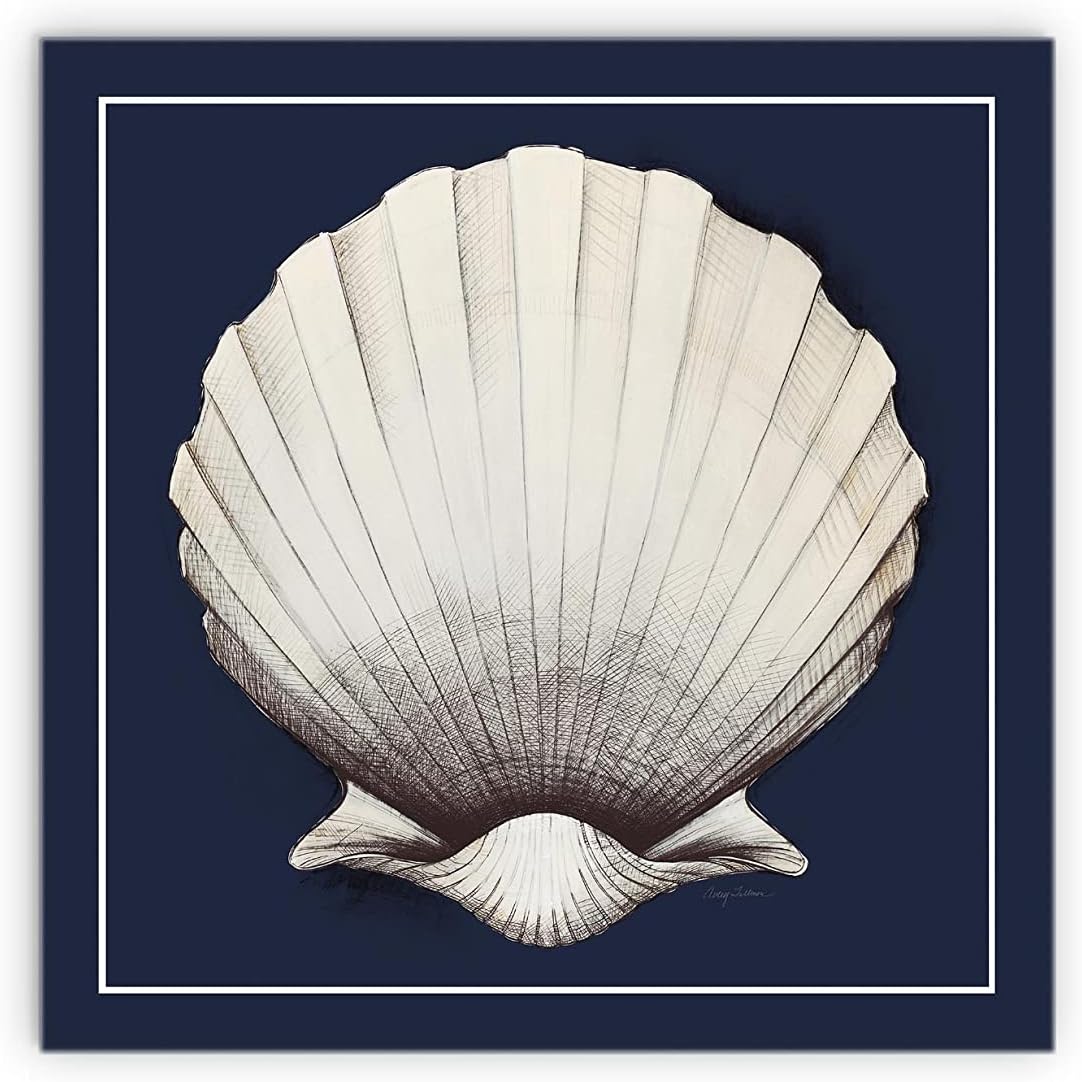 Amazon.com : Coastal Shell II with Border Navy, JoyRide Home Décor Wood ...